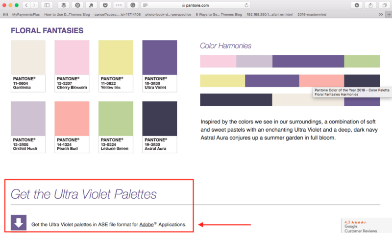 Using ASE colors in your photo book project » BOOK THIS PROJECT.